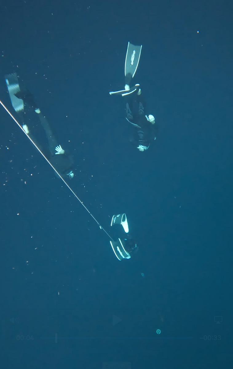 PADI Master Freedive Course — Catalina Island — Level 3 – Lost Winds ...