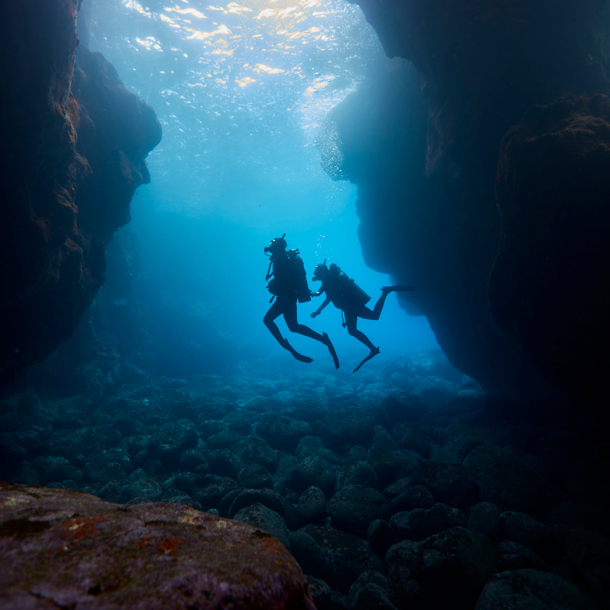 Scuba Diving Guide – Lost Winds Dive Shop